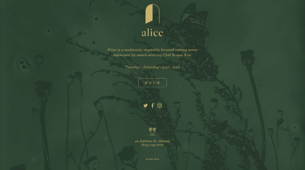 Website Design Review for Top Restaurants in Ottawa | myMarketing